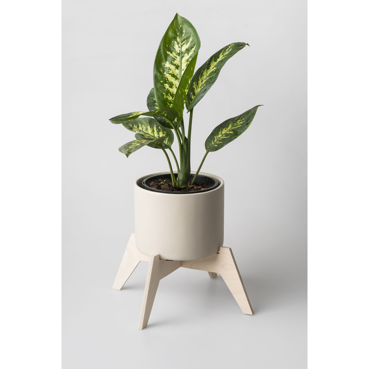 Cango Pot Plant Holder - RSA Made