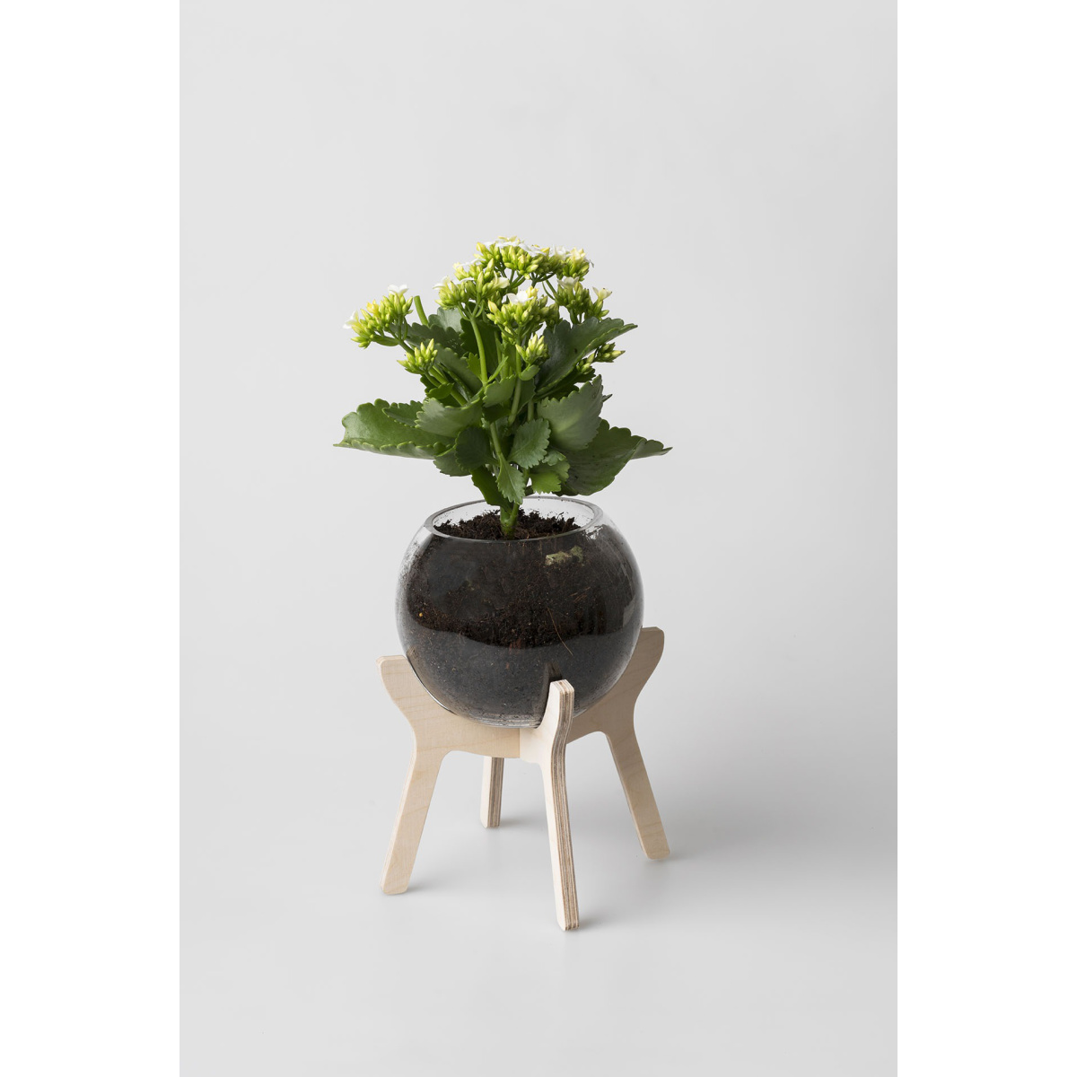 Cango Pot Plant Holder - RSA Made