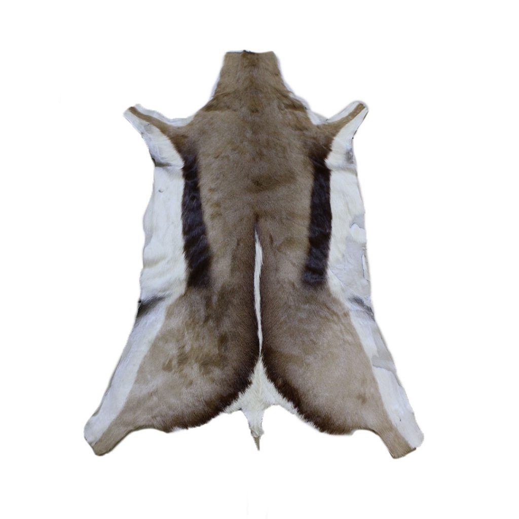 Springbok Skin - RSA Made