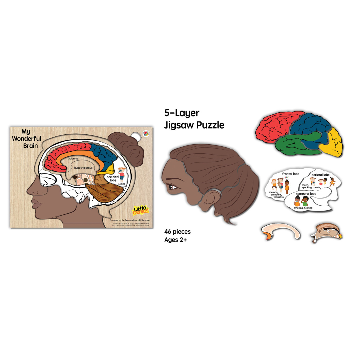 "My Wonderful Brain" Puzzle - RSA Made